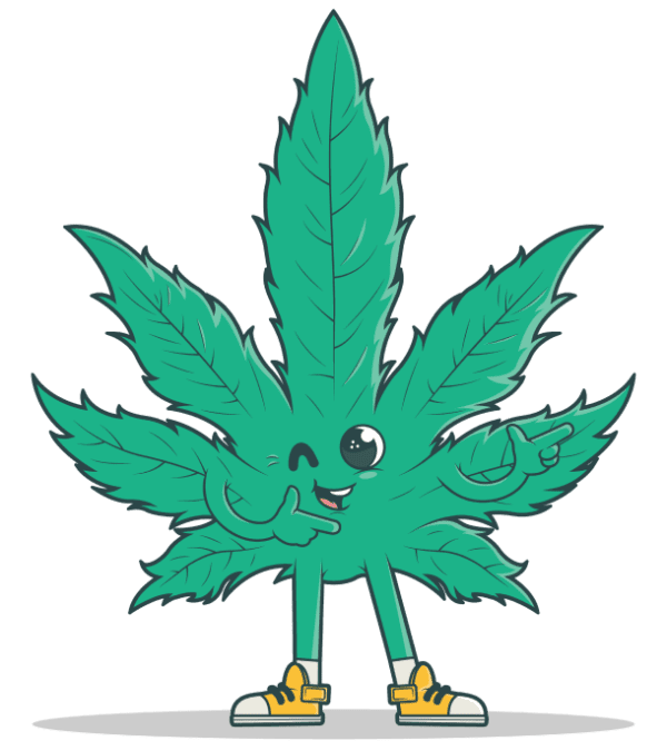 About Hempie's | Cannabis THC Store in Raleigh, NC